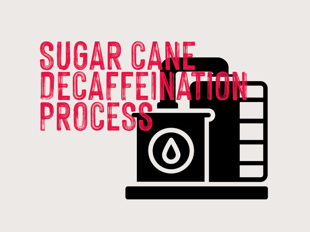 Sugar Cane Decaffeination Process Diagram – Falcon Micro