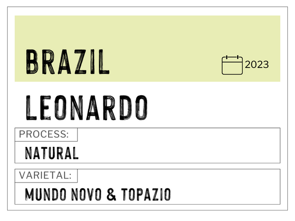 Leonardo, Brazil | Natural – Falcon Micro