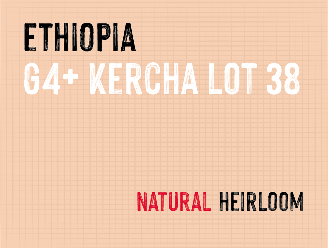 G4+ Kercha Lot 38, Ethiopia | Natural - MMY-0168 – Falcon Micro